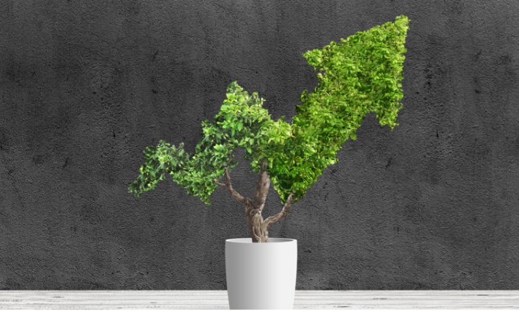 'Green Recovery', la recuperación económica es verde - Iberdrola