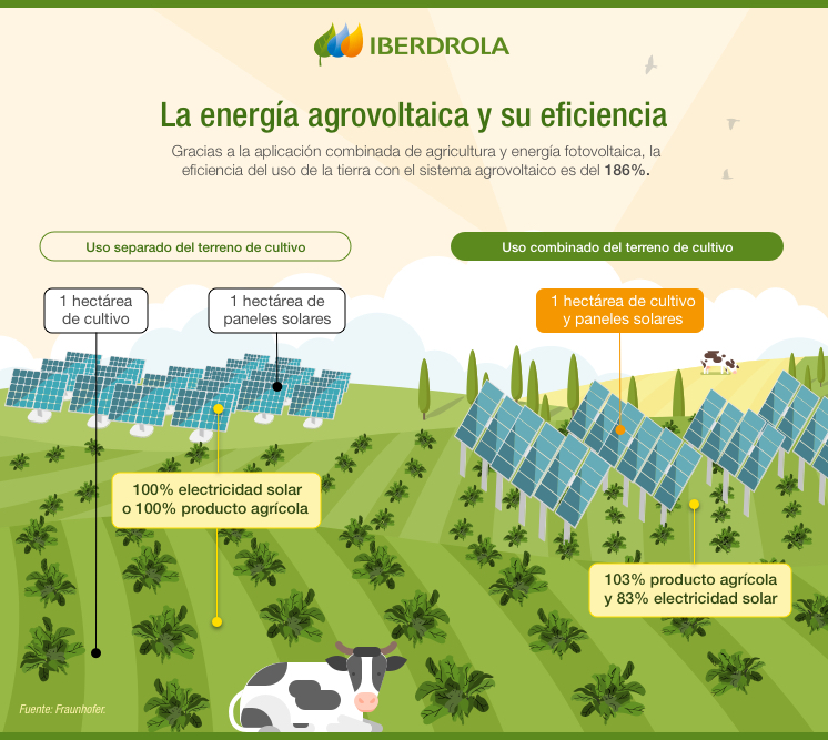 Energías renovables en la agricultura - Iberdrola