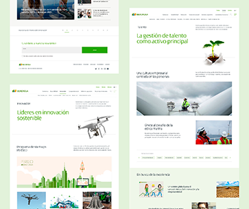 Iberdrola launches its new website reinforcing its global leadership in ...