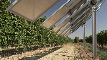 Iberdrola starts up Spain's first smart agrovoltaic plant in Toledo ...