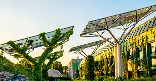 Green Recovery, economic recovery is green - Iberdrola