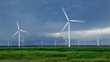 Parque eólico 'onshore' Amazon Wind US East - Iberdrola