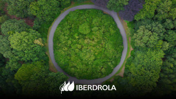 What is circular design? Key to the circular economy - Iberdrola