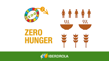 SDG 2: Zero hunger - Iberdrola