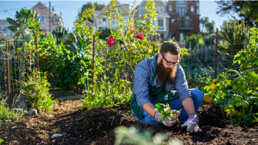 Software Para Huertos Caseros