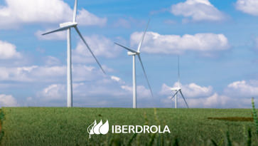 What is Carbon Neutral? | Carbon Neutral Countries - Iberdrola