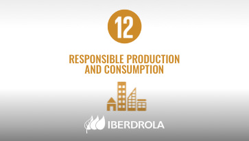 SDG 12: Responsible consumption and production - Iberdrola