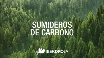 Sumideros de carbono - Iberdrola