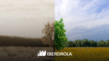 Consequences overexploitation of natural resources - Iberdrola