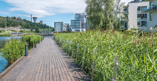 What Is Sustainable City Development - Infoupdate.org