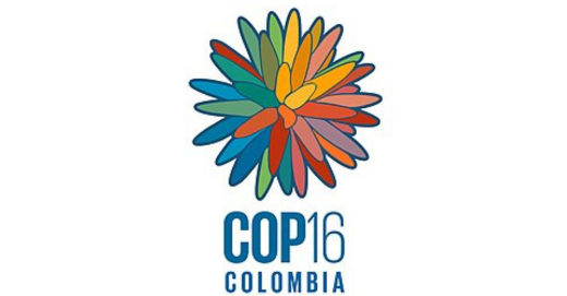 COP 16 2024 Biodiversity - Iberdrola