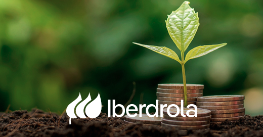 Shareholders and Investors - Iberdrola