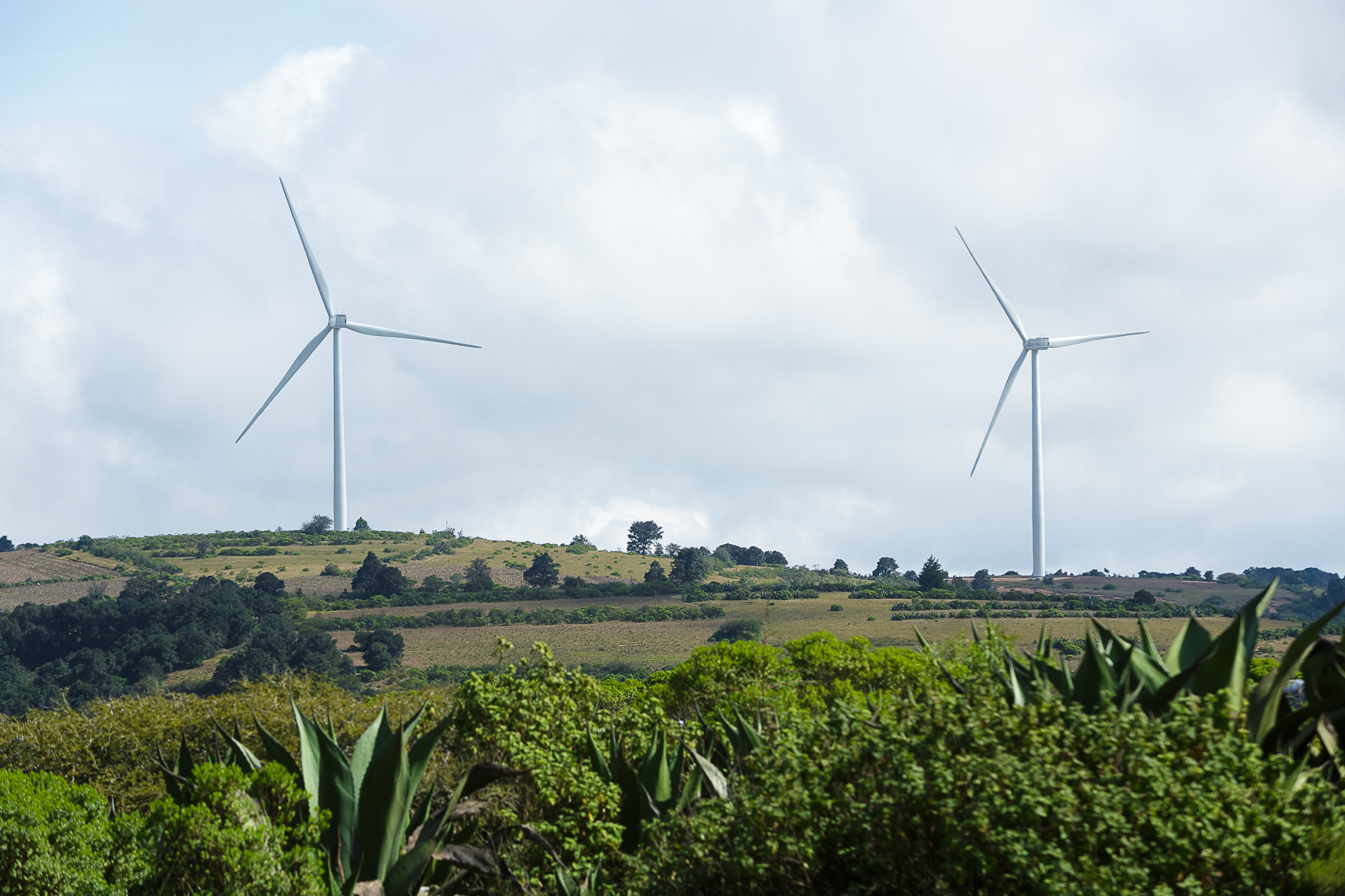 Iberdrola has awarded the wind turbines in Mexican wind farms Pier IV ...